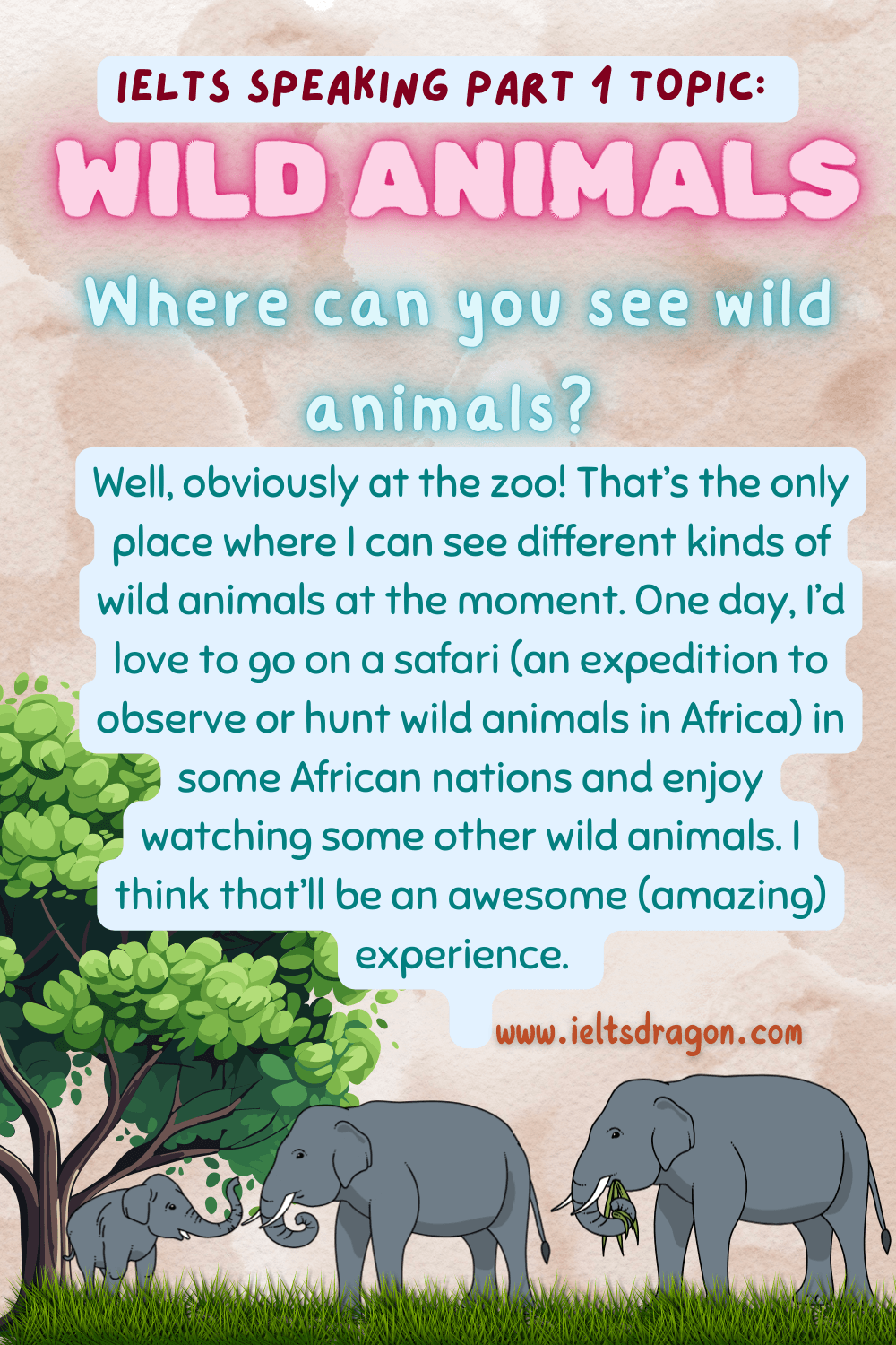 Ielts Speaking Part 1 Pets Your English Success Today